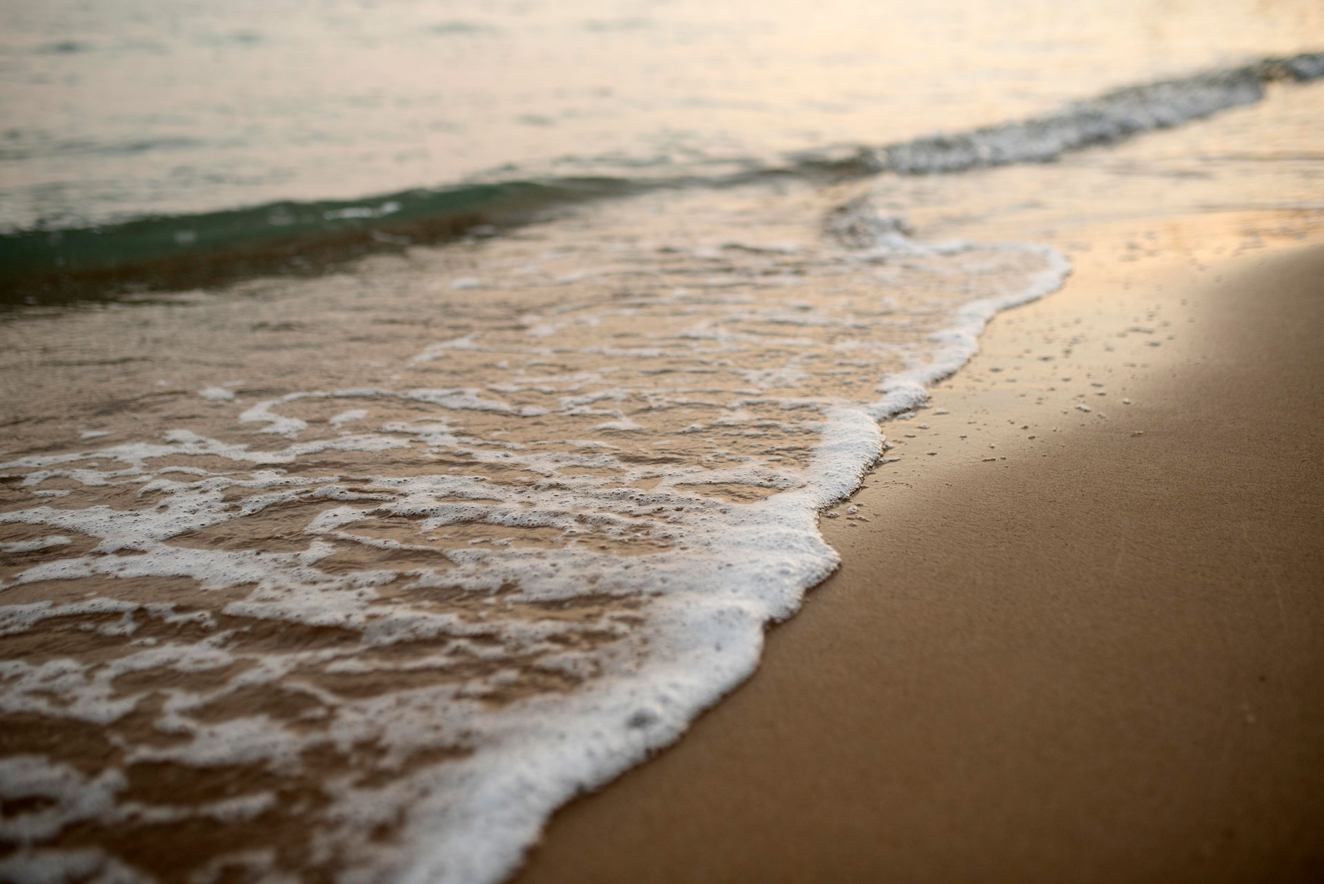 Helping Children by Teaching Parents - The TRAINOR Center